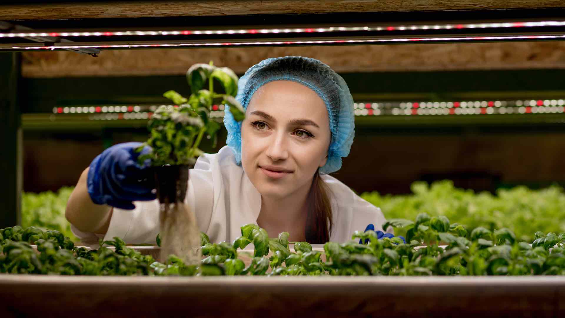 Gender equality crucial for sustainable agrifood systems - Irish Flash